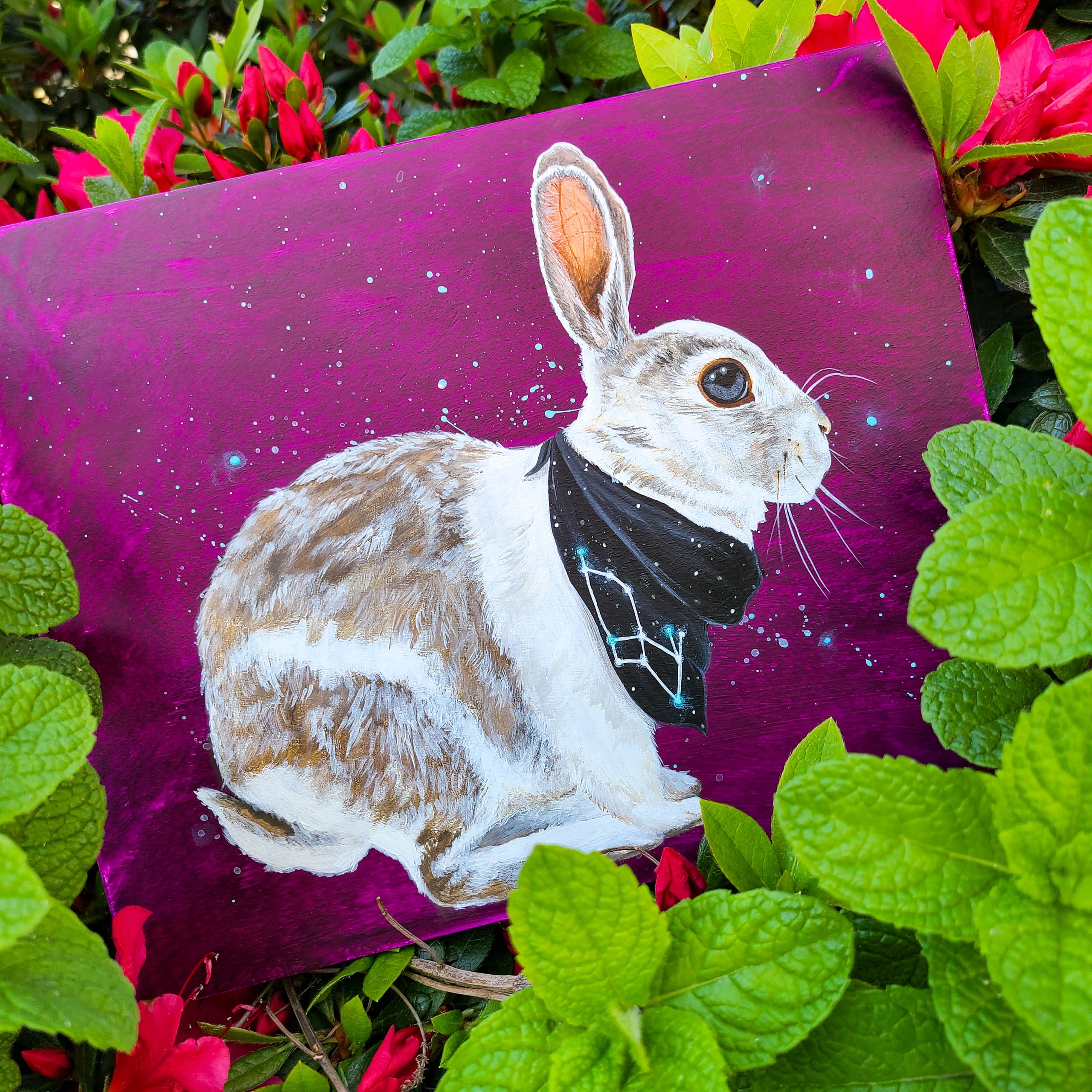 Lepus Print | Gradient Art Gallery